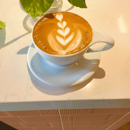 Coffee Shop | Tempe AZ - Cafetal Coffee | Cafetal Coffee